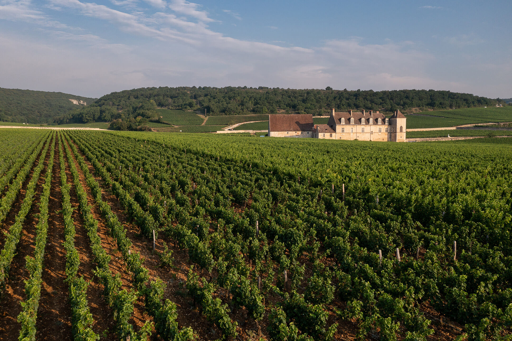 Côte de Nuits: Burgundy’s most famous wine region - Domaine Evenstad